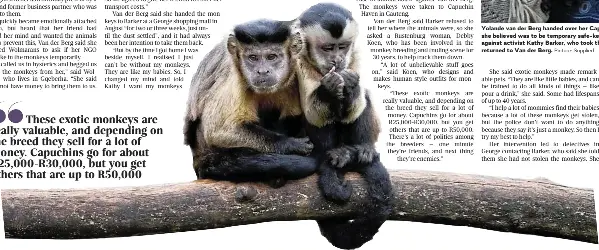 Tug-of-war ordeal for monkey ‘babies’ - PressReader