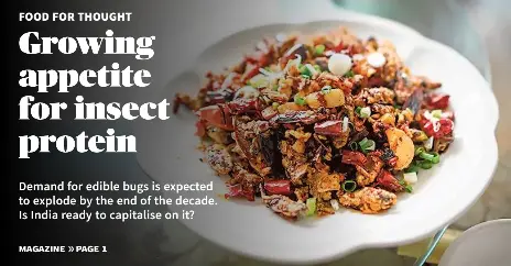 Growing appetite for insect protein - PressReader