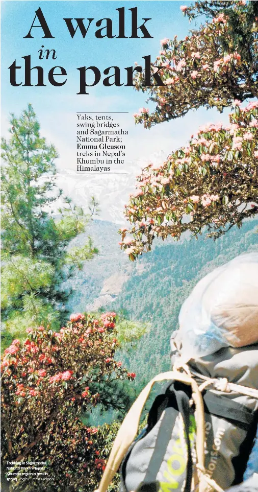 A walk the in park - PressReader