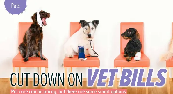 CUT DOWN ON VET BILLS - PressReader