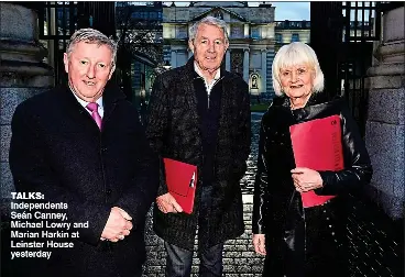 Healy-Raes would take ministry if offered one - PressReader