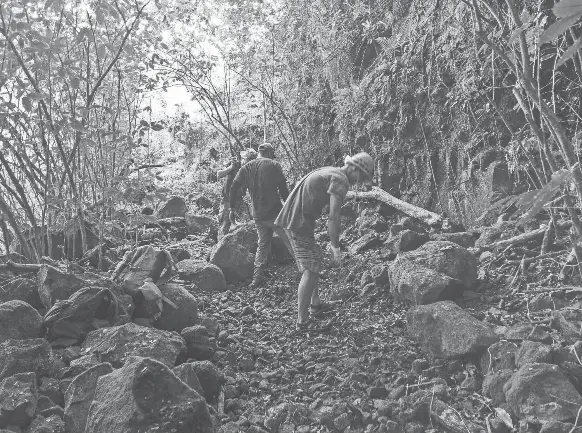 Volunteeri­ng on vacation offers a deeper travel experience - PressReader