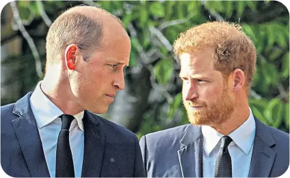 I never thought I’d say this, but it’s time to bring Prince Harry back into the fold - PressReader