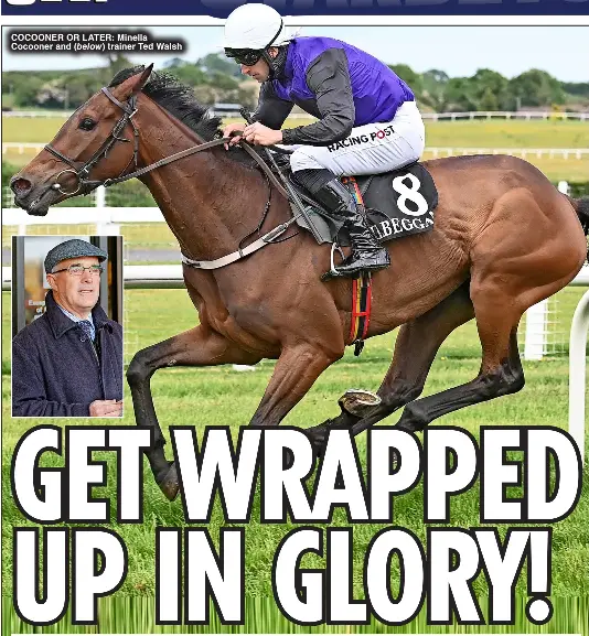 GET WRAPPED UP IN GLORY! - PressReader