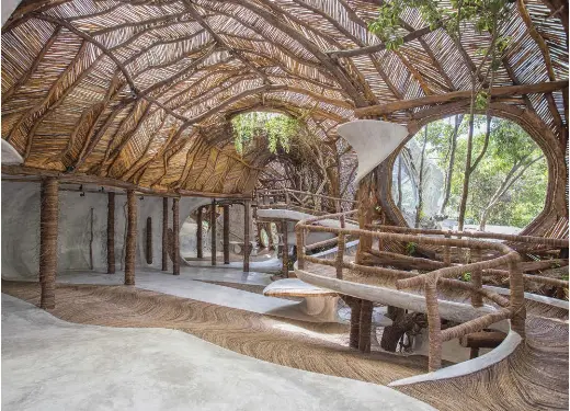 DIÁLOGO en la Selva - PressReader