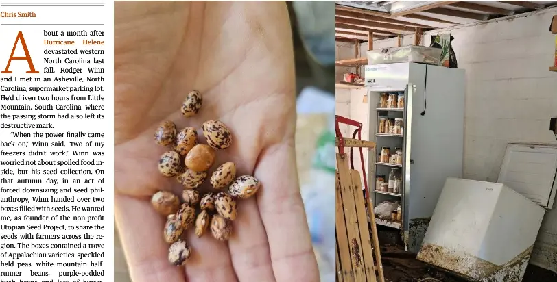 I don’t want to die with a freezer full of seeds. Biodiversi­ty and ...