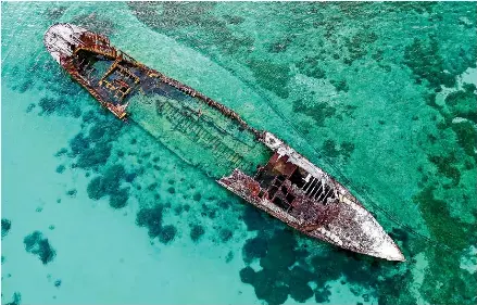 Cheers to reef’s wonders - PressReader