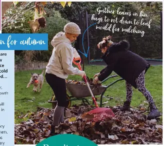 HOW TO... Prep your garden for autumn - PressReader