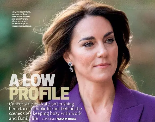 A LOW PROFILE - PressReader