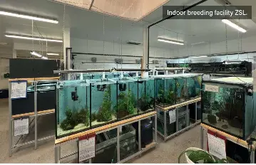 Ex situ conservati­on in practice - PressReader