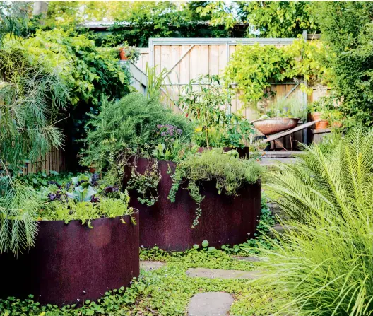 BACKYARD BLISS, SYDNEY NSW - PressReader