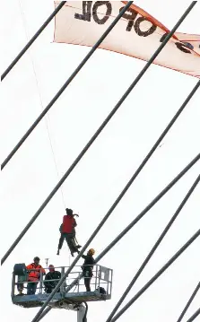 Braverman’s blast at ‘tofu-eating wokerati’ behind eco bridge hell ...