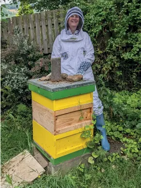 What’s all the buzz about BEES? - PressReader