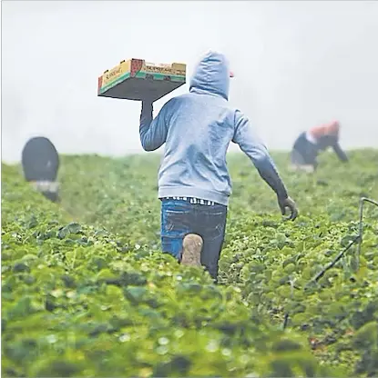 PEV – How it works - PressReader