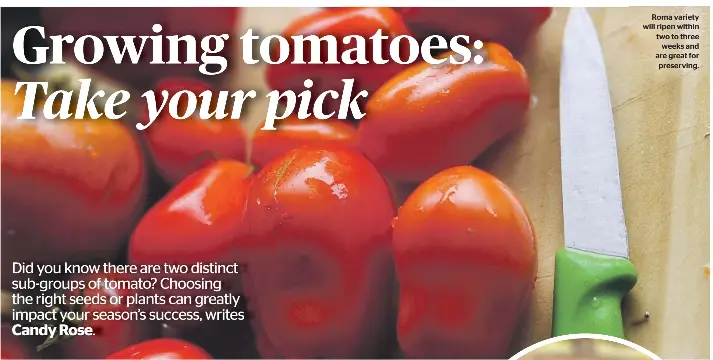 Growing tomatoes: Take your pick - PressReader