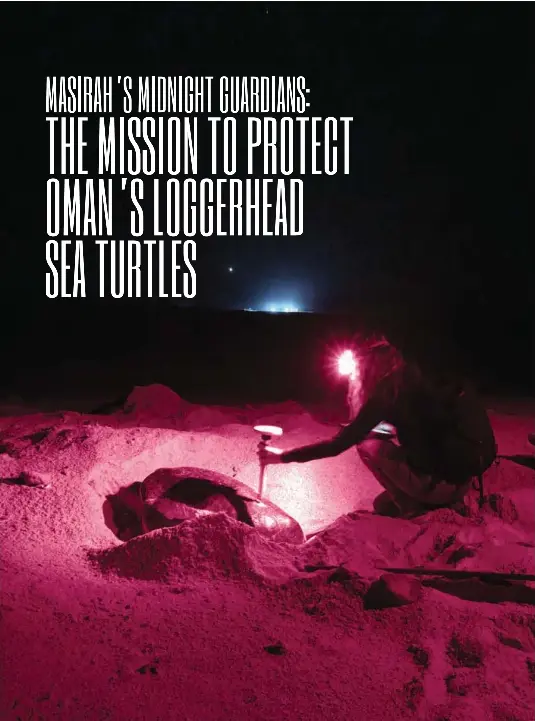 MASIRAH’S MIDNIGHT GUARDIANS: THE MISSION TO PROTECT OMAN’S LOGGERHEAD ...
