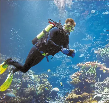 Repopulati­ng nd wild coral reefs - PressReader