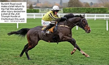 Owen ponders Flat return for talented Burdett Road - PressReader