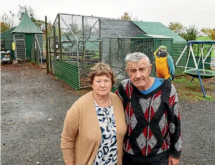 Native birds seized from Hamilton Bird Park - PressReader