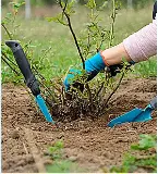 ASK DIARMUID - PressReader