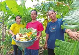 TACKLING THE FOOD SECURITY CRISIS - PressReader