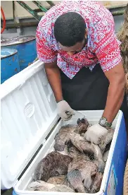 More Kawakawa and Donu Confiscate­d by Fisheries Officers - PressReader