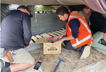 Little penguins keep stealing the show on Netflix series set - PressReader