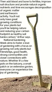 Soil your undies for garden glory - PressReader