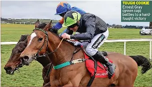 NEWSBOY’S 1-2-3 1 ERNEST GRAY 2 RATH GAUL BOY 3 LEAVE OF ABSENCE ...