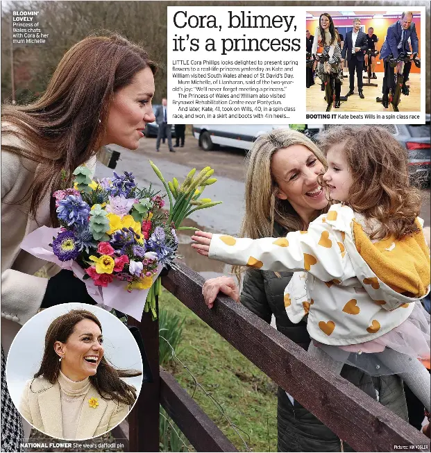 Julie quits over ill health - PressReader