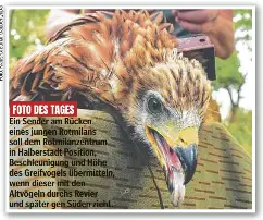 „Die MOPO macht unsere Welt schöner!“ - PressReader