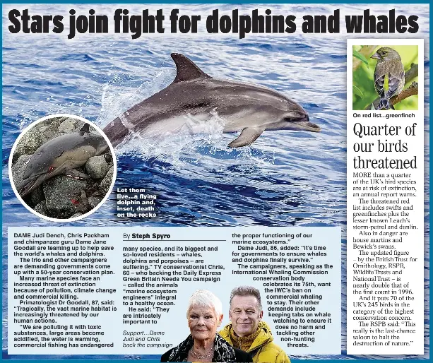 Stars join fight for dolphins and whales - PressReader