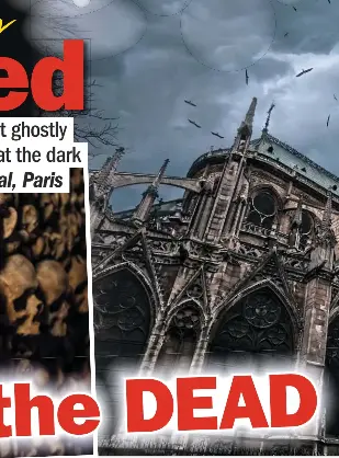 City of the DEAD - PressReader