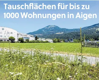 Tauschfläc­hen für bis zu 1000 Wohnungen in Aigen - PressReader