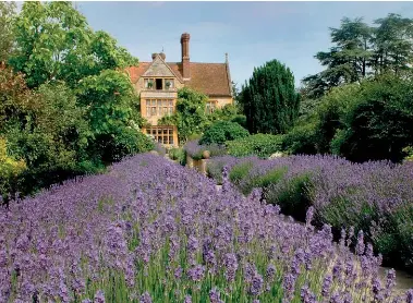 Rooted In Excellence - PressReader