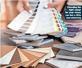 Showing your true colours - PressReader