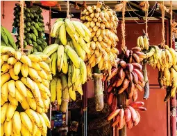 Disappeari­ng bananas - PressReader