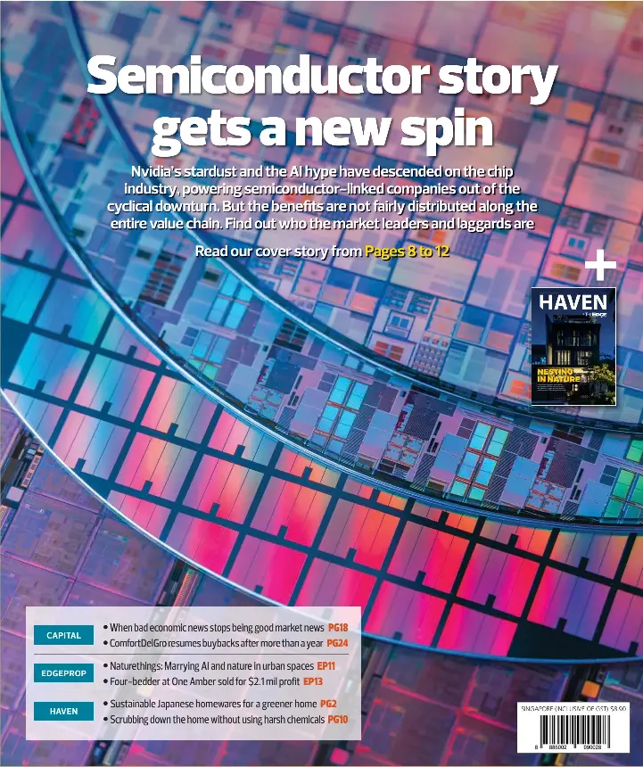 Semiconduc­tor story gets a new spin - PressReader