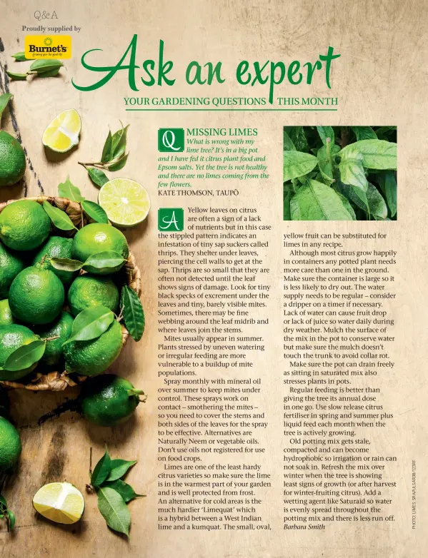 Ask our experts - PressReader