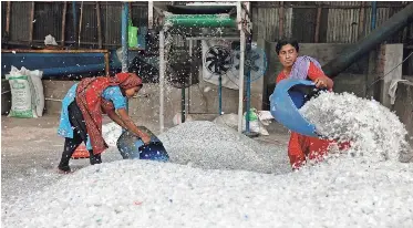 Plastics a growing threat around world - PressReader