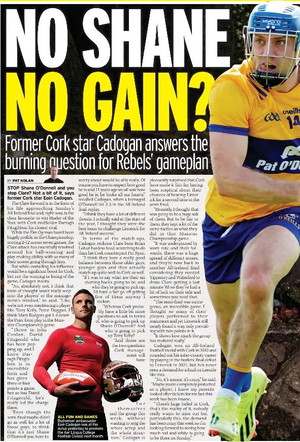 NO SHANE NO M16 GAIN? - PressReader