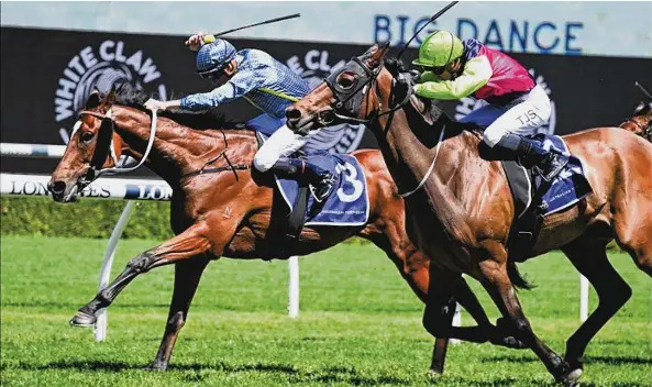 LEES DUO TACKLE SUMMER CUP TRIP ON BOXING DAY - PressReader