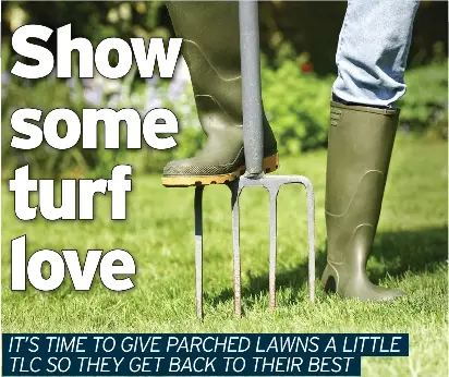 Show some turf love - PressReader