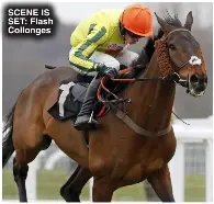 FLASH CAN LIGHT IT UP - PressReader