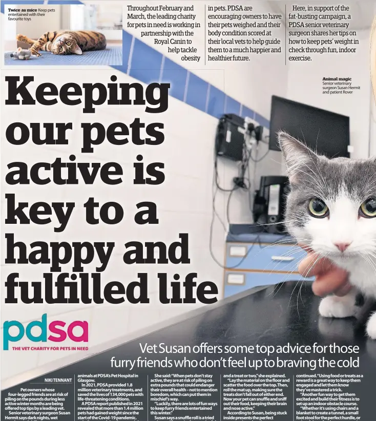 Keeping our pets active is key to a happy and fulfilled life - PressReader