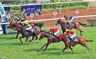 Chennai’s historic Madras Race Course enters final lap - PressReader