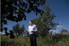 ‘It’s gang-gang country’: the landholder­s restoring farmland to forest in the Victorian alps ...