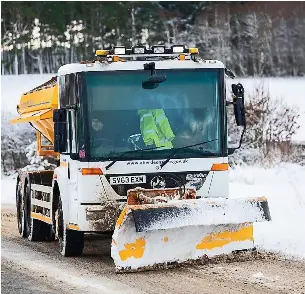 Cold? Neigh joking! And it’s set to get worse, with 3in of snow - PressReader