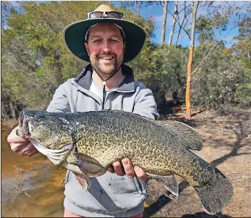 Cod season returns - PressReader