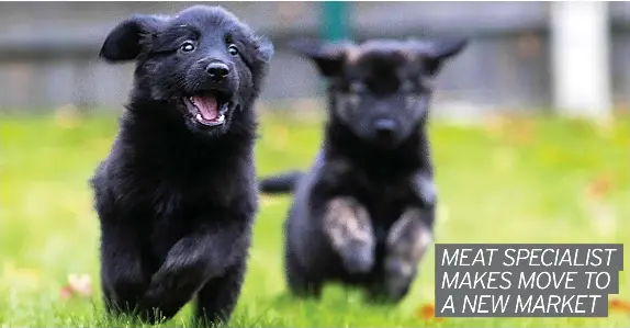 Cranswick enters pet food sector - PressReader